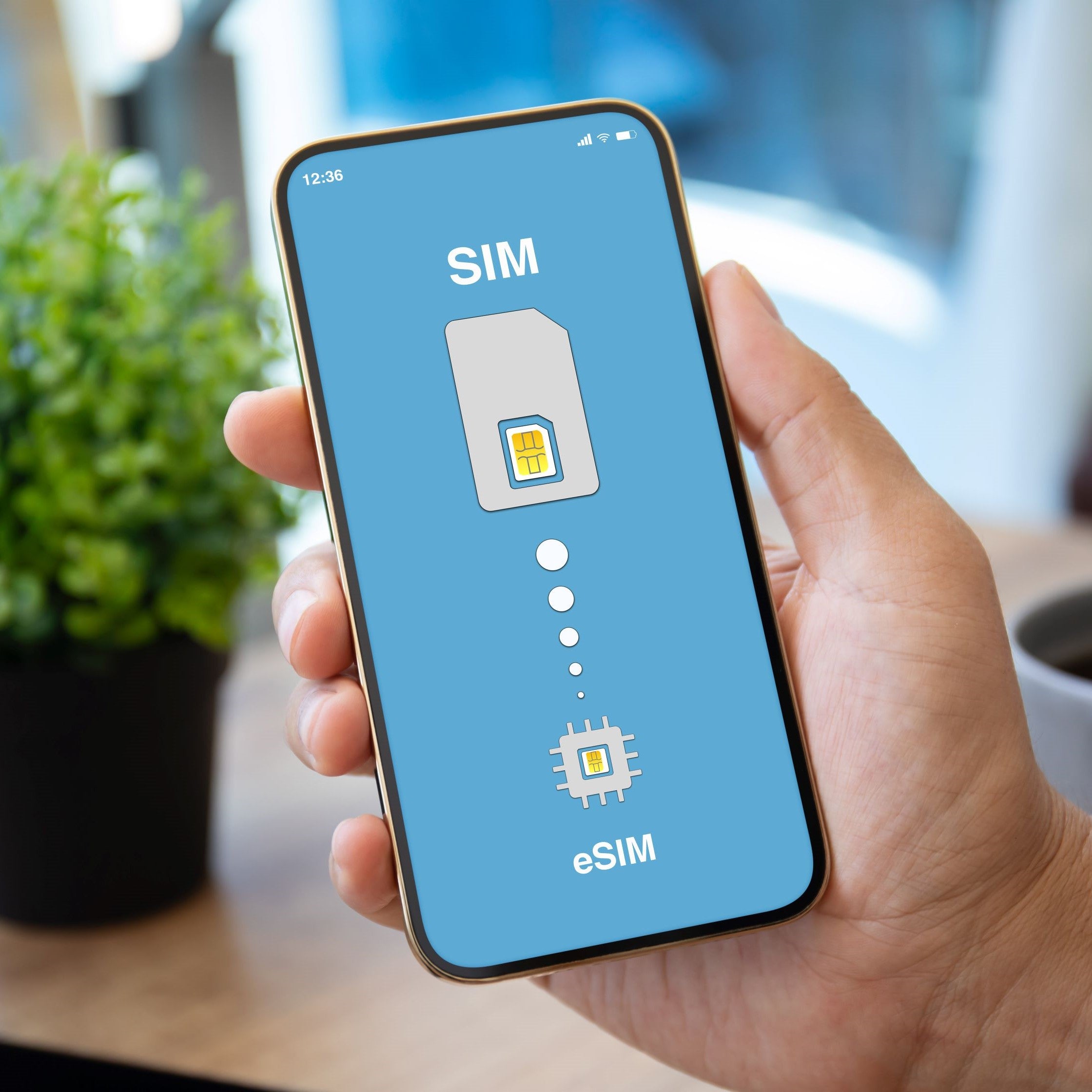 Good eSIMすべてのデータプラン-～-海外旅行のインターネットはGoodeSIM